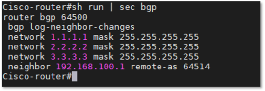 Dynamic Protocol Configuration - BGP - Academy Versa Networks