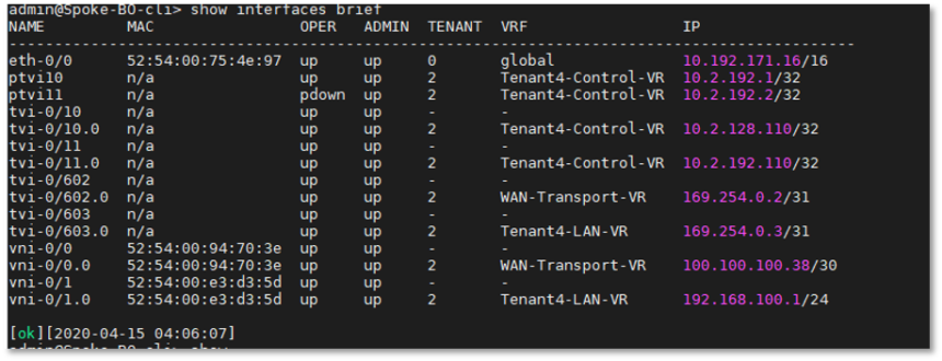 Dynamic Protocol Configuration – BGP - Academy Versa Networks