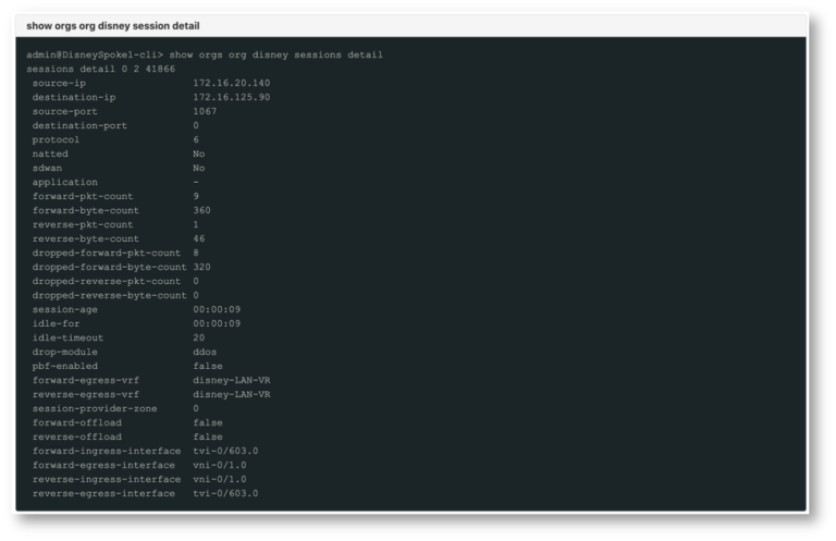 Configure DDOS Protection - Academy Versa Networks