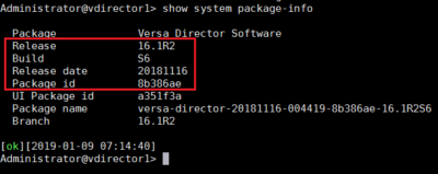 Configuring and Verifying Versa Director High Availability - Academy ...