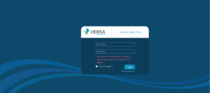 Configuring and Verifying Versa Director High Availability - Academy ...
