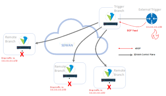Remotely Triggered Blackhole using BGP - Academy Versa Networks