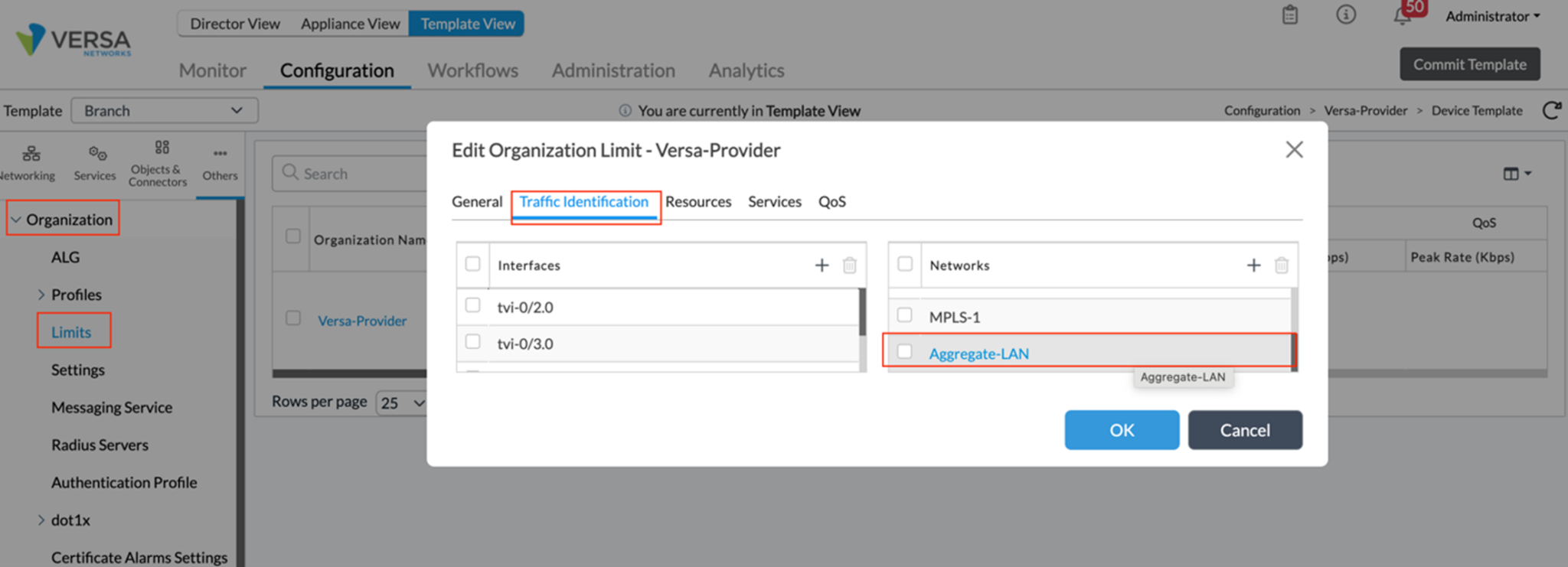 Deploying Sd Wan Sites With Aggregate Ethernet Lan Interfaces Academy Versa Networks