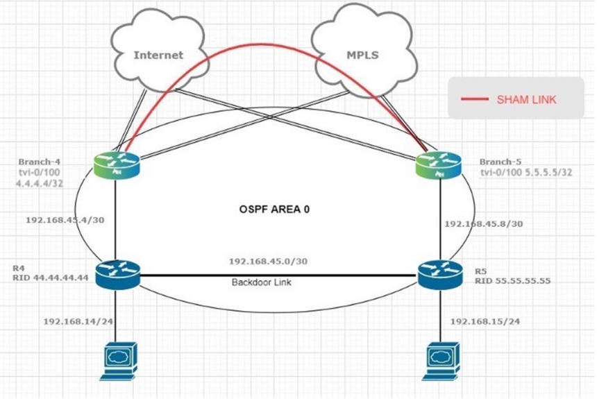 Dealing with Backdoor Links on VOS Devices - Academy Versa Networks