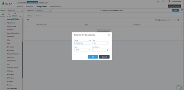 Configure SSL Inspection in Versa Security | Step-by-Step Guide
